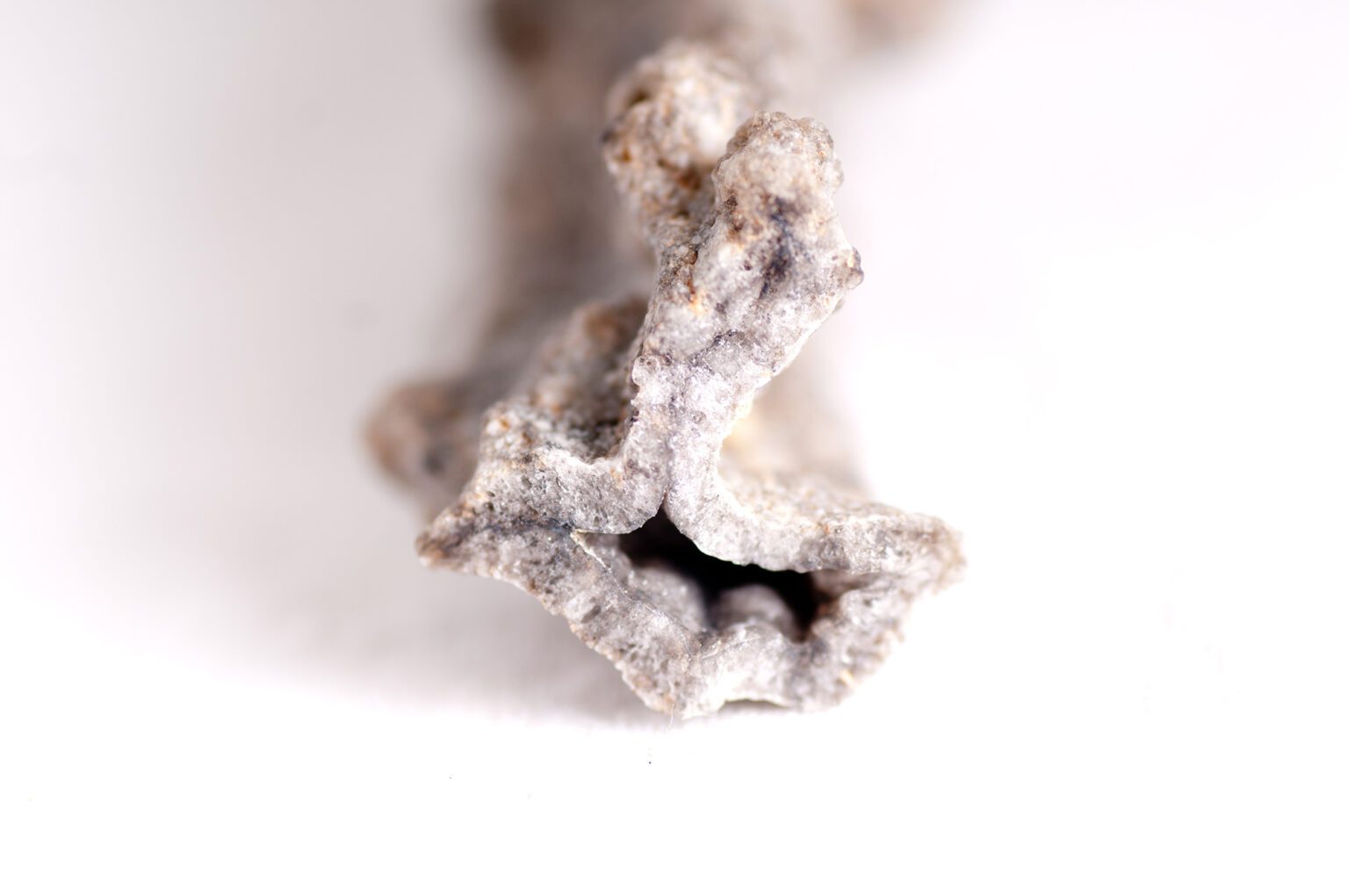 Hunting for Fulgurites - West Michigan Guides