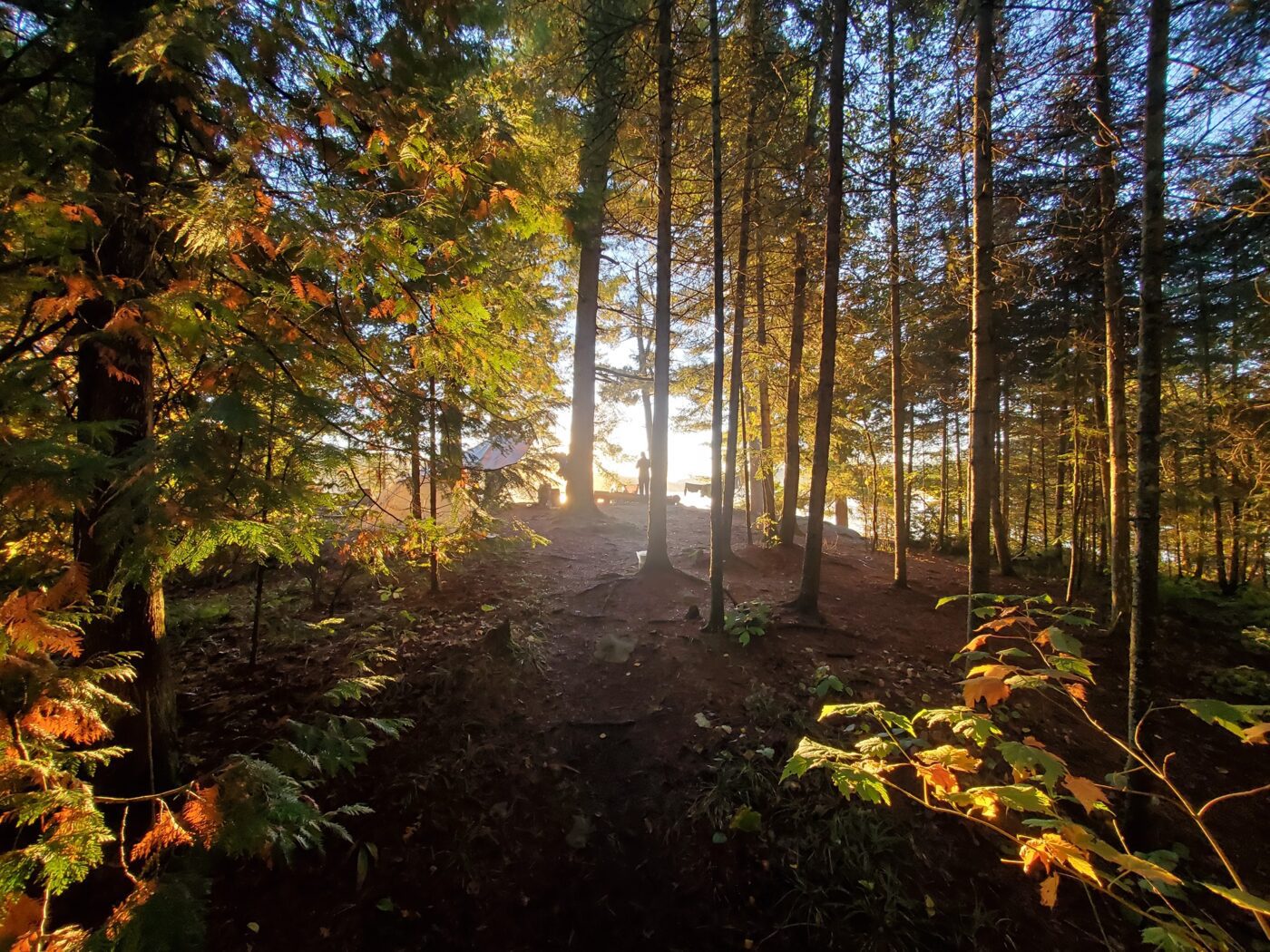 Scottville Riverside Park Along Pere Marquette River - West Michigan Guides