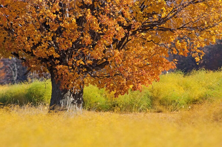 M-22 Scenic Drive - West Michigan Guides