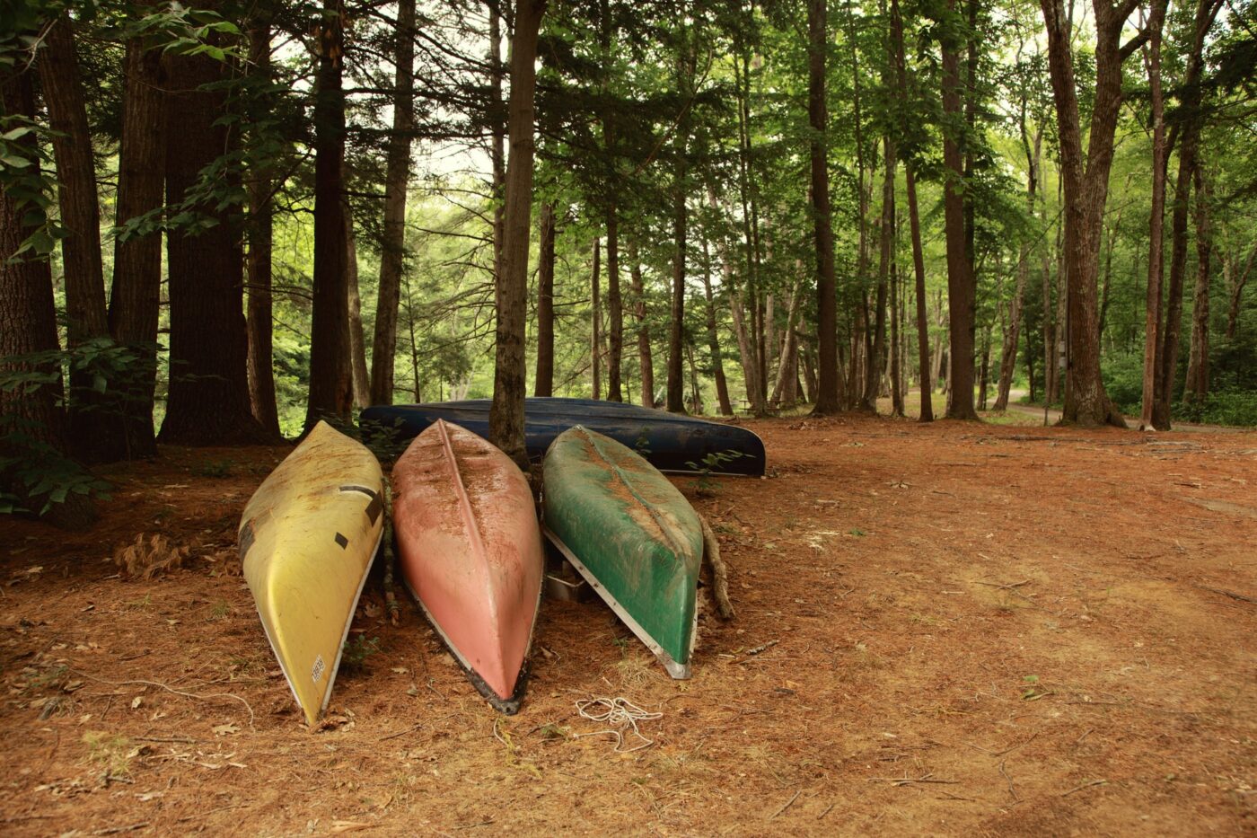 Baldwin - Things to Do - West Michigan Guides